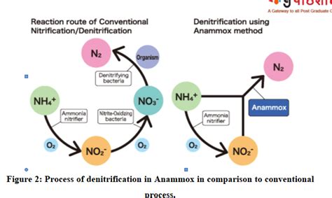 Biological Nitrification And De Nitrification Environmental Pollution I Water Soil