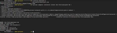 deploying a fortianalyzer vm instance fortianalyzer public cloud 7 6 0 fortinet document library