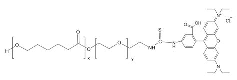 PCL-PEG-RhB - NSP-Functional Polymers & Copolymers