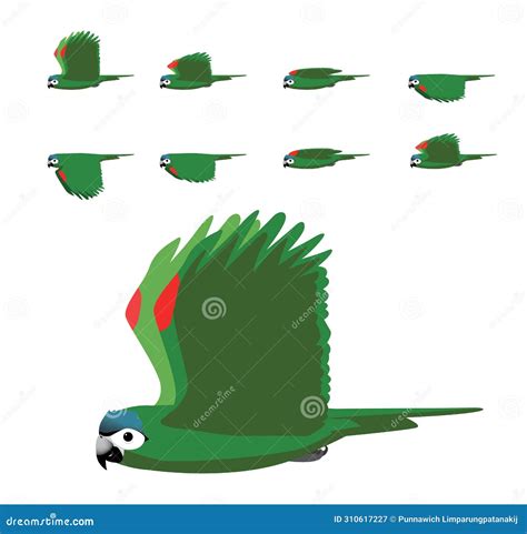 Bird Parrot Hahns Macaw Flying Animation Sequence Cartoon Vector 310617227