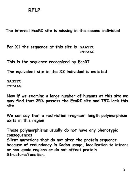 Ppt Rflp Analysis Powerpoint Presentation Free Download Id 4784687