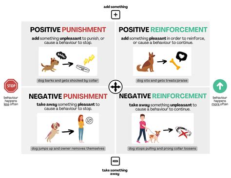 Operant Conditioning Dog