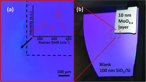 A Contrast Enhanced Optical Image Of The Mos2 Film Coated On The Download Scientific Diagram
