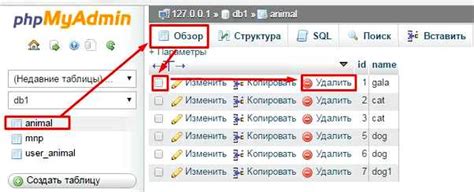 Как удалить базу данных Mysql ⋆ Pro хостинг