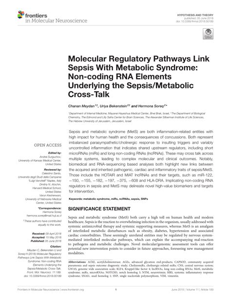 Pdf Molecular Regulatory Pathways Link Sepsis With Metabolic Syndrome Non Coding Rna Elements