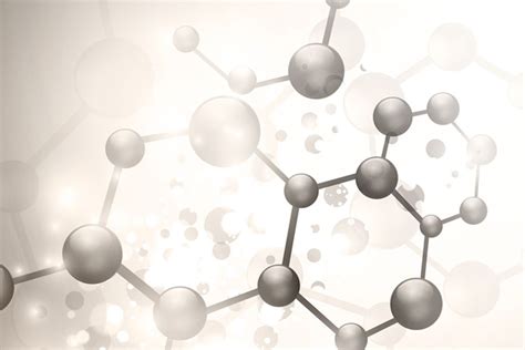 Test Results Catecholamines 2steps2health