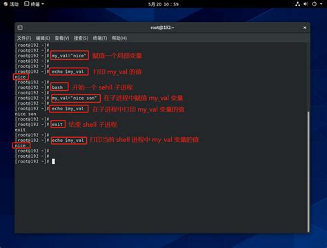 Linux教程配置环境变量 阿里云开发者社区