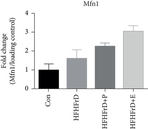 Vitamin D Receptor Modulates Myocardial Expression Of Mitofusin 2 A