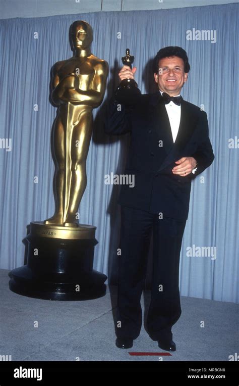 Los Angeles Ca March 25 Actor Joe Pesci Attend The 63rd Annual