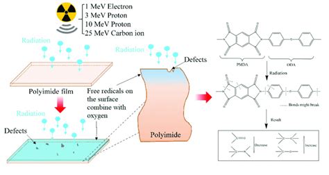Schematic Of The Irradiation Process And Irradiation Degradation