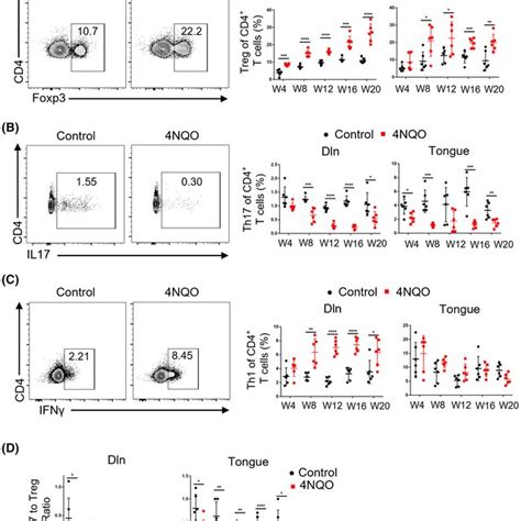 Cd4⁺ And Cd8⁺ T‐cell Differentiation States Assessed By Cd44 And Cd62l