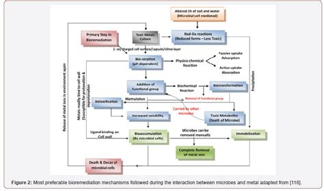 Military Shooting Range Xenobiotic Bacteria Consortiain Situ Biodegradation Kachia Kaduna