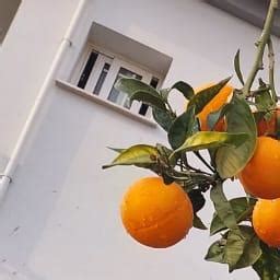 Roboflow Tutorial Roboflow Universe Roboflow Tutorial Roboflow Universe