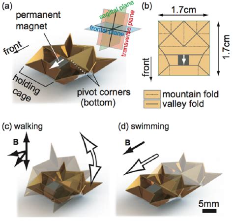 The Promise Of Nanotechnology Mit S Self Assembling Origami Robot Herox