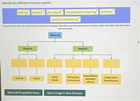 Solved Identify The Different Memory Systems Priming