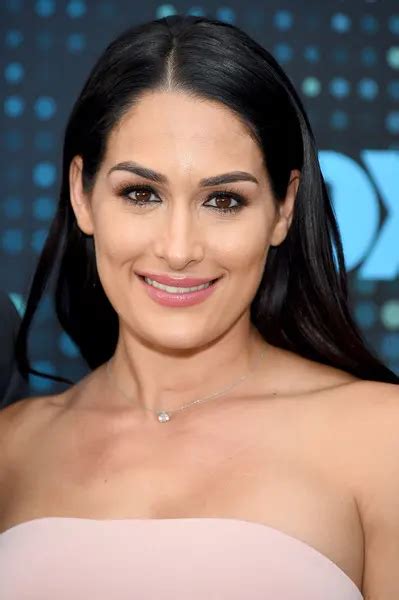 Nikki Bella Bikini Pictures Hot Sexy Woophy