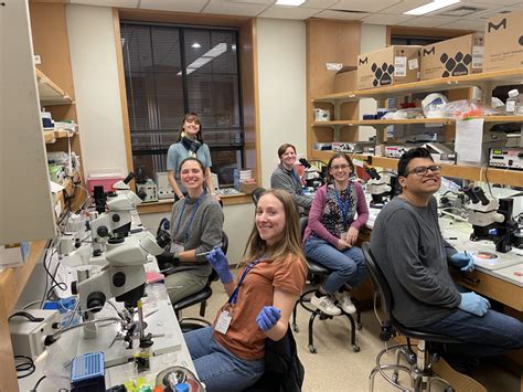 Autism Gene Variants Disrupt Enteric Neuron Migration And Cause