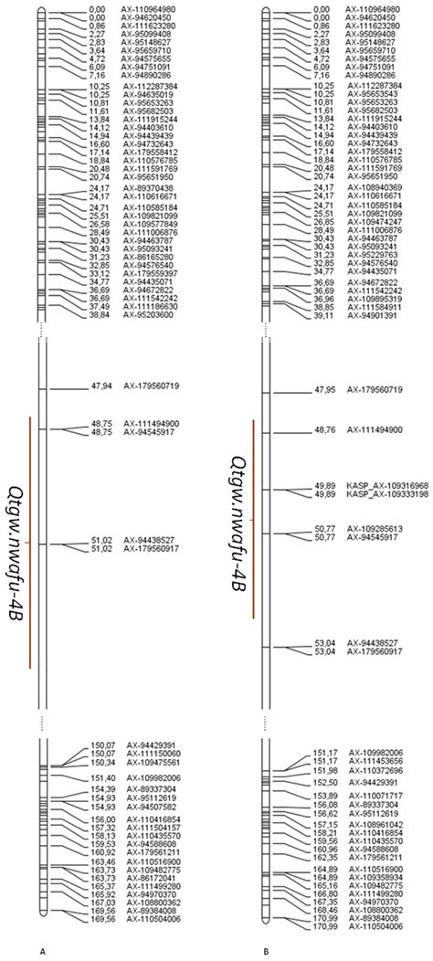 plants free full text utilization of a wheat50k snp microarray