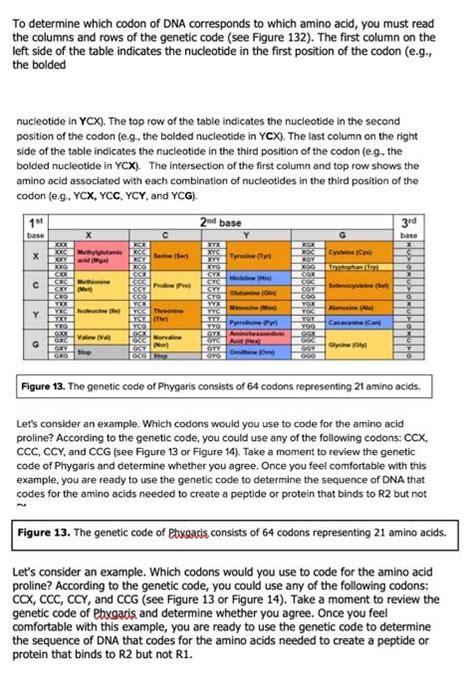 Step 3 Use A Genetic Code To Design A Sequence Of Chegg Com