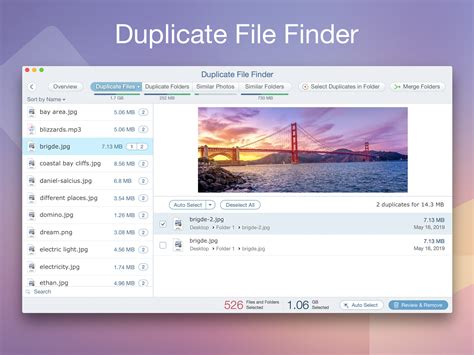 Duplicate File Finder By Julia Ivanova On Dribbble