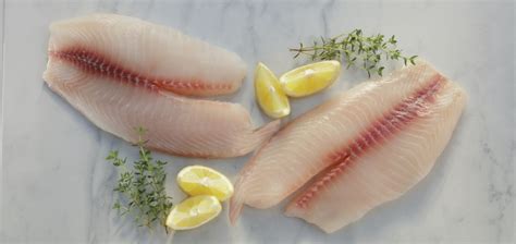 Gambar Fillet Ikan 53 Koleksi Gambar