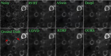 [논문 리뷰] unsupervised microscopy video denoising