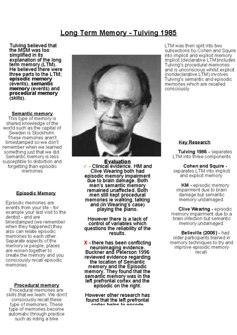 Long Term Memory Tulving 1985 Key Research Tulving 1985 Separates Ltm Into Three