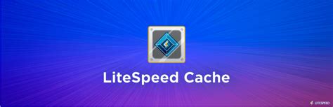 What Is Litespeed Web Server Software