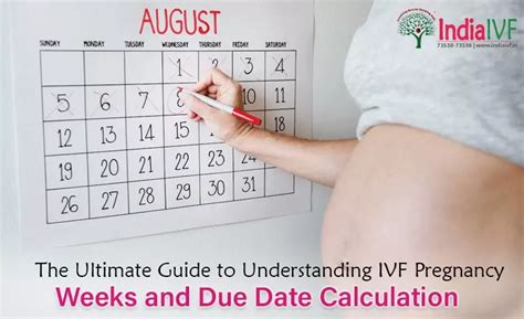 Ultimate Guide To Understanding Ivf Pregnancy Weeks And Due Date Calculation