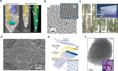 Recent Developments In Wired Up Bioelectrical Interfaces A Download Scientific Diagram