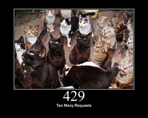 Status Cats By Girliemac Classic Server Error Codes Now With