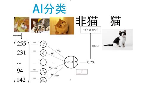 Ai分类，用几行python代码，简单逻辑回归分类器识别猫！哔哩哔哩bilibili