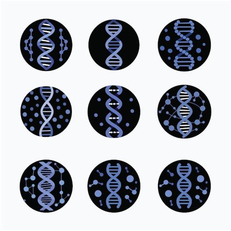 Nucleotide Vectors And Illustrations For Free Download Freepik