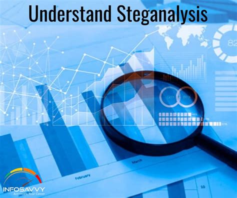 Understand Steganalysis Infosavvy Security And It Management Training