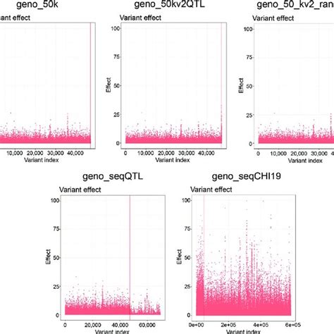 Variant Effects In The Weighted Single Step Genomic Blup Wssgblup Download Scientific Diagram