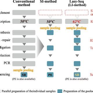 Comparison Of The RNA Seq Library Preparation Methods Steps Modified Download Scientific