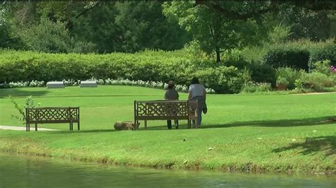 Rosalynn And Jimmy Carters Graves Now Open To Public