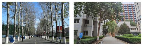 Remote Sensing Free Full Text Assessment Of Real Time Gps Bds 2 Bds 3 Single Frequency Ppp