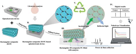 Photonic Crystal Integrated Optoelectronic Devices With Naked Eye