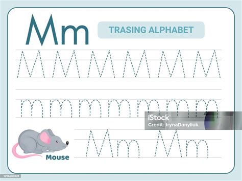 알파벳 추적 연습 편지 M 추적 연습 워크 시트 알파벳 활동 페이지 학습 고등학교 이하에 대한 스톡 벡터 아트 및 기타 이미지 고등학교 이하 공부 교습 Istock