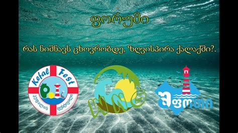 შავი ზღვის დაცვის დღე ფორუმი რას ნიშნავს ცხოვრება ზღვისპირა ქალაქში Youtube