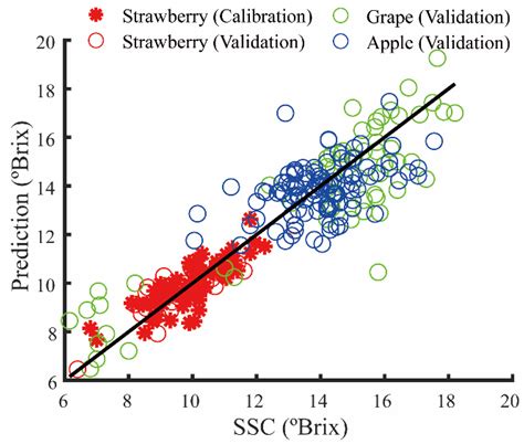 Enhancing Transferability Of Near Infrared Spectral Models For Soluble Solids Content Prediction