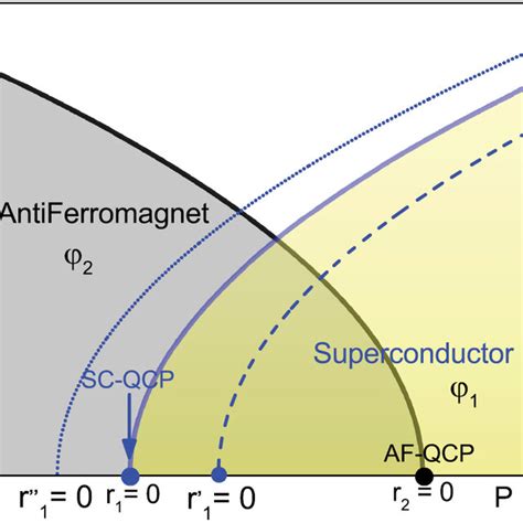 Schematic Phase Diagram Of Coexisting Phases In The Presence Of Both Download Scientific