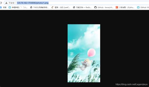 通过浏览器访问linux服务器文件 图片） 通过浏览器访问linux文件 csdn博客