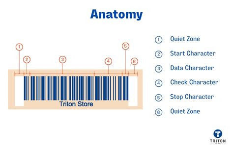 Understanding The Basics Of Code 128 Barcodes