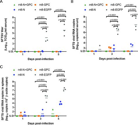infectious sftsv and sftsv genome levels and the histopathological