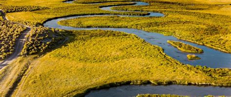 Nextjs Firebase Authentication And Middleware For Api Routes Dev Community