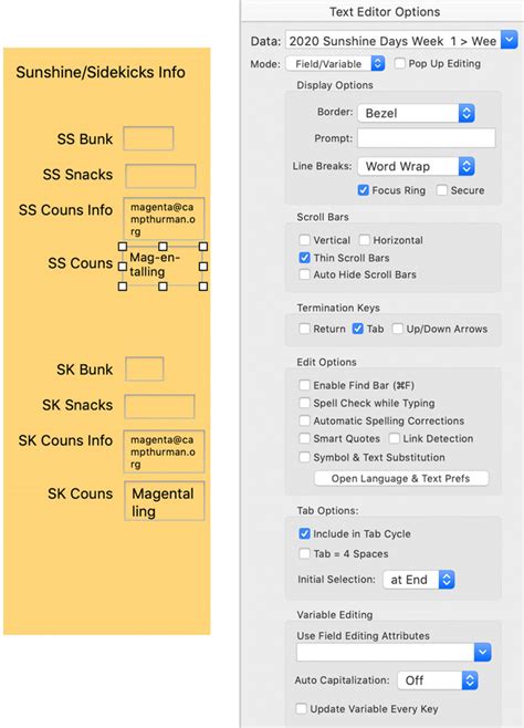 Unexplained Formatting In Field Panorama X Panorama Discussion Forum