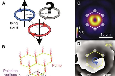 Researchers Demonstrate Spontaneous Synchronization Of Quantum Vortices