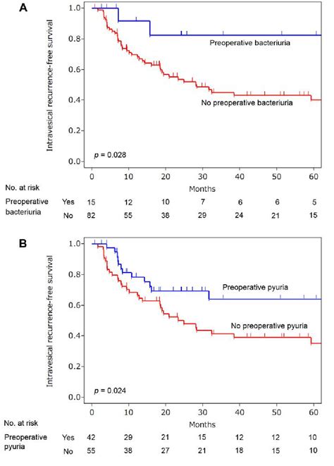 Figure 1 From Effect Of Preoperative Bacteriuria And Pyuria On Intravesical Recurrence In